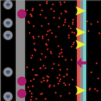 NetLogo User Community Models: